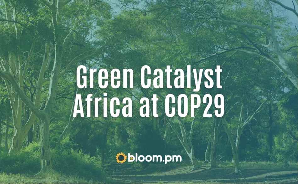 Green Catalyst Africa at COP29